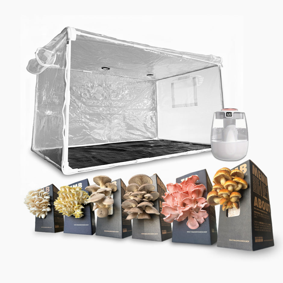 Mushroom Grow Boxes – The Mushroom Box