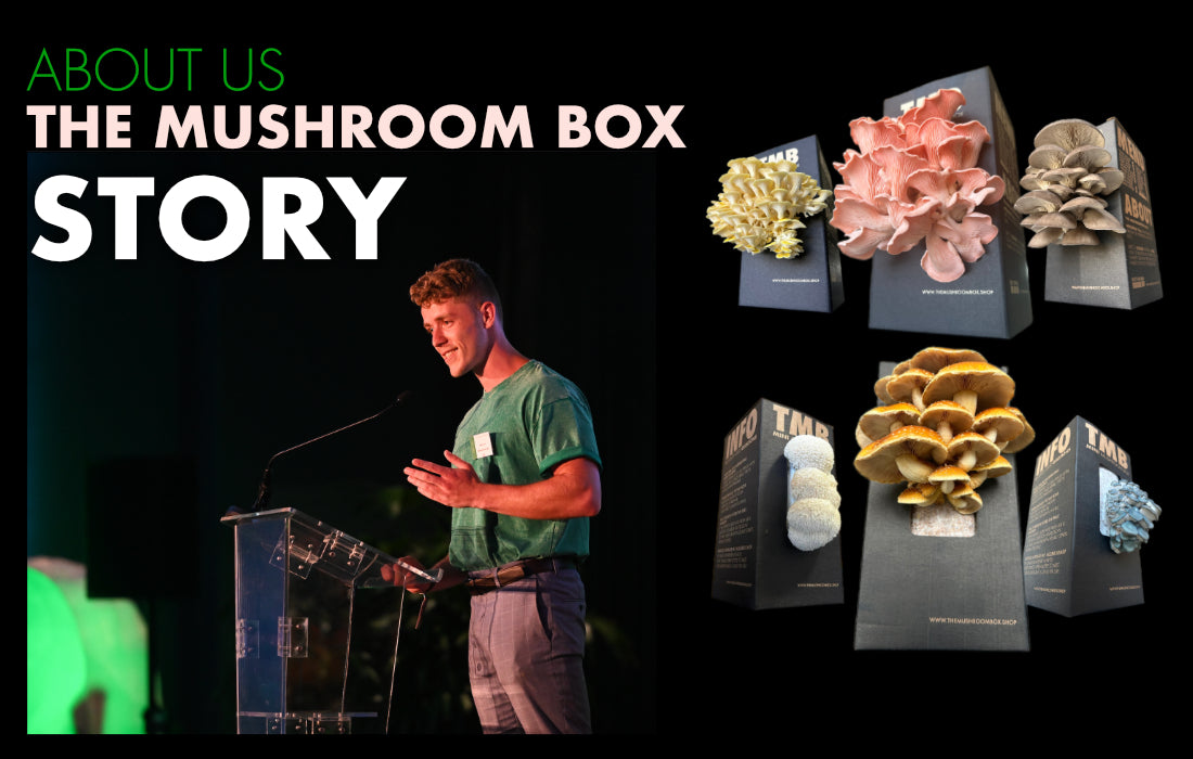 Mushroom Growing Kits South Africa | The Mushroom Box | To Your Door