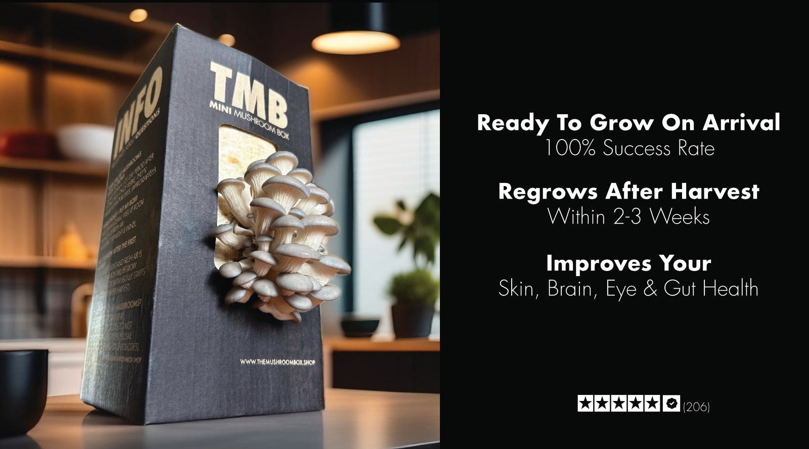 Mushroom Growing Kits South Africa | The Mushroom Box | To Your Door