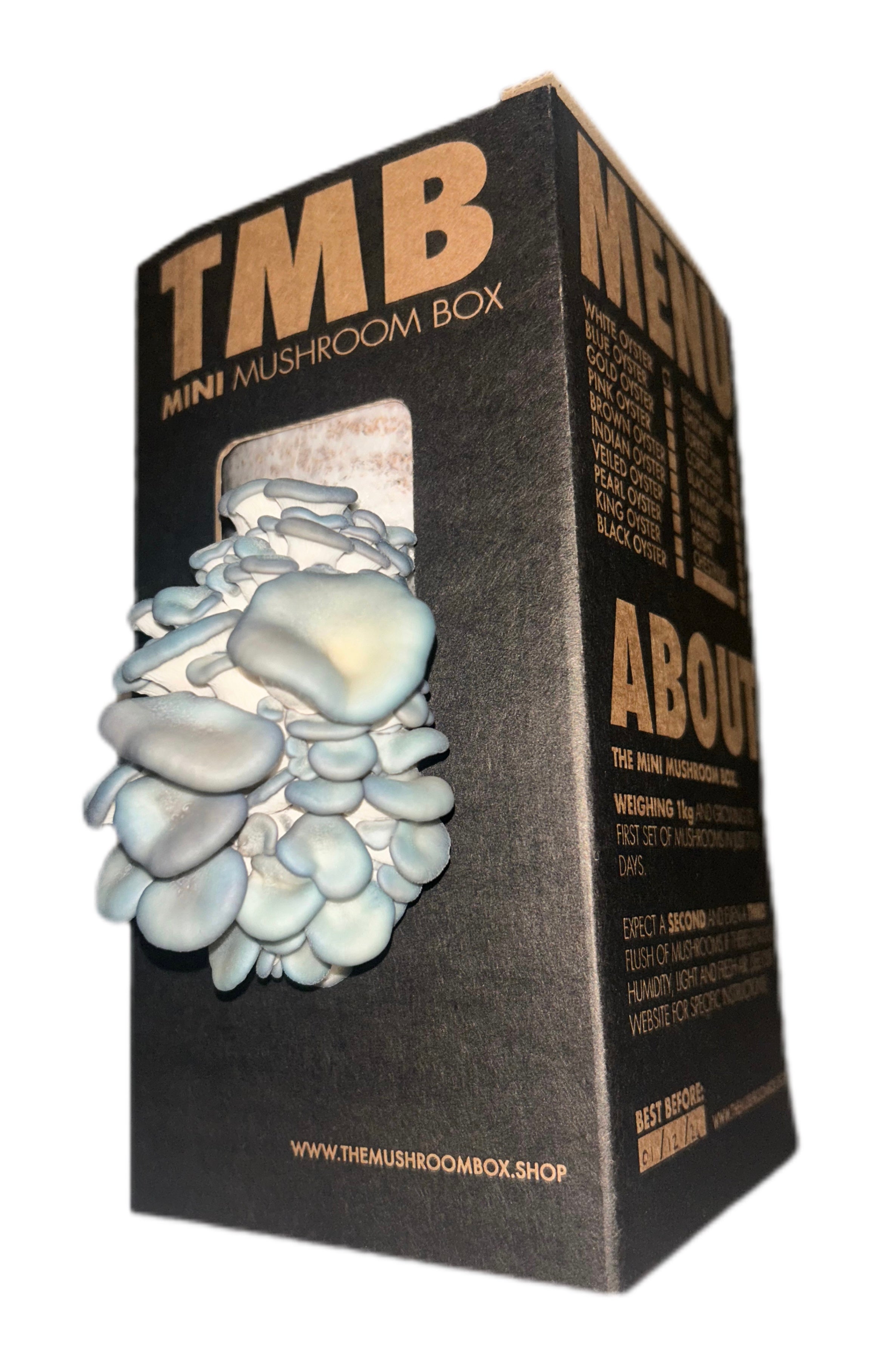 The Mushroom Box | Grow Box | Blue Oyster Mushroom