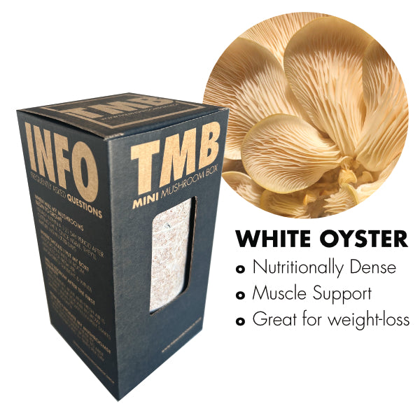 Products – The Mushroom Box