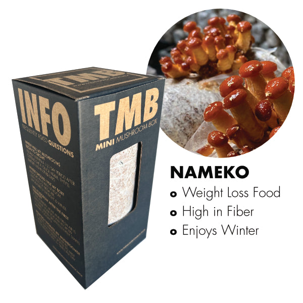 Products – The Mushroom Box