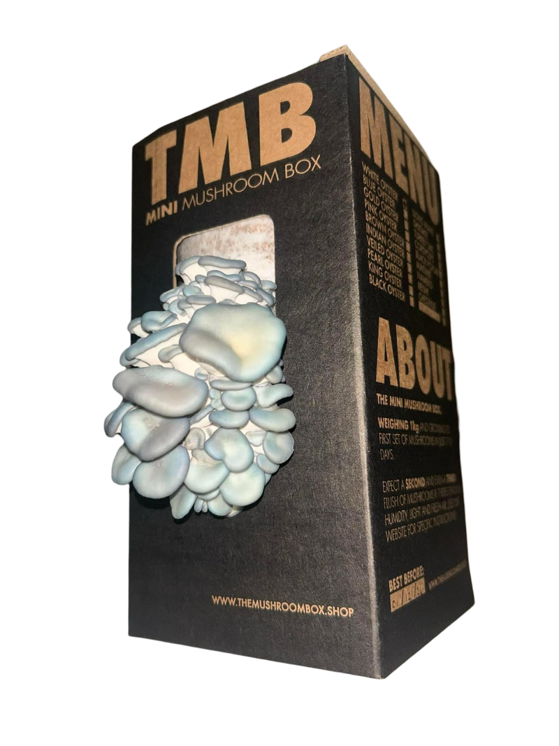 Products – The Mushroom Box